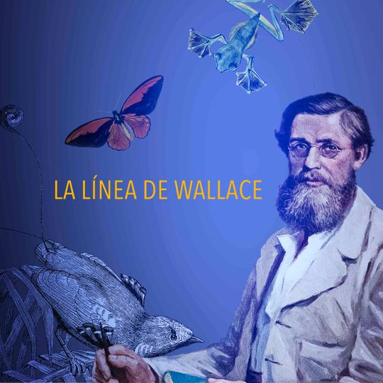 La línea de Wallace - CaixaForum+