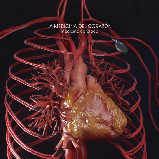 La medicina del corazón - CaixaForum+