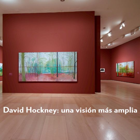 David Hockney: una visión más amplia - CaixaForum+