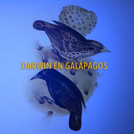 Darwin en Galápagos - CaixaForum+